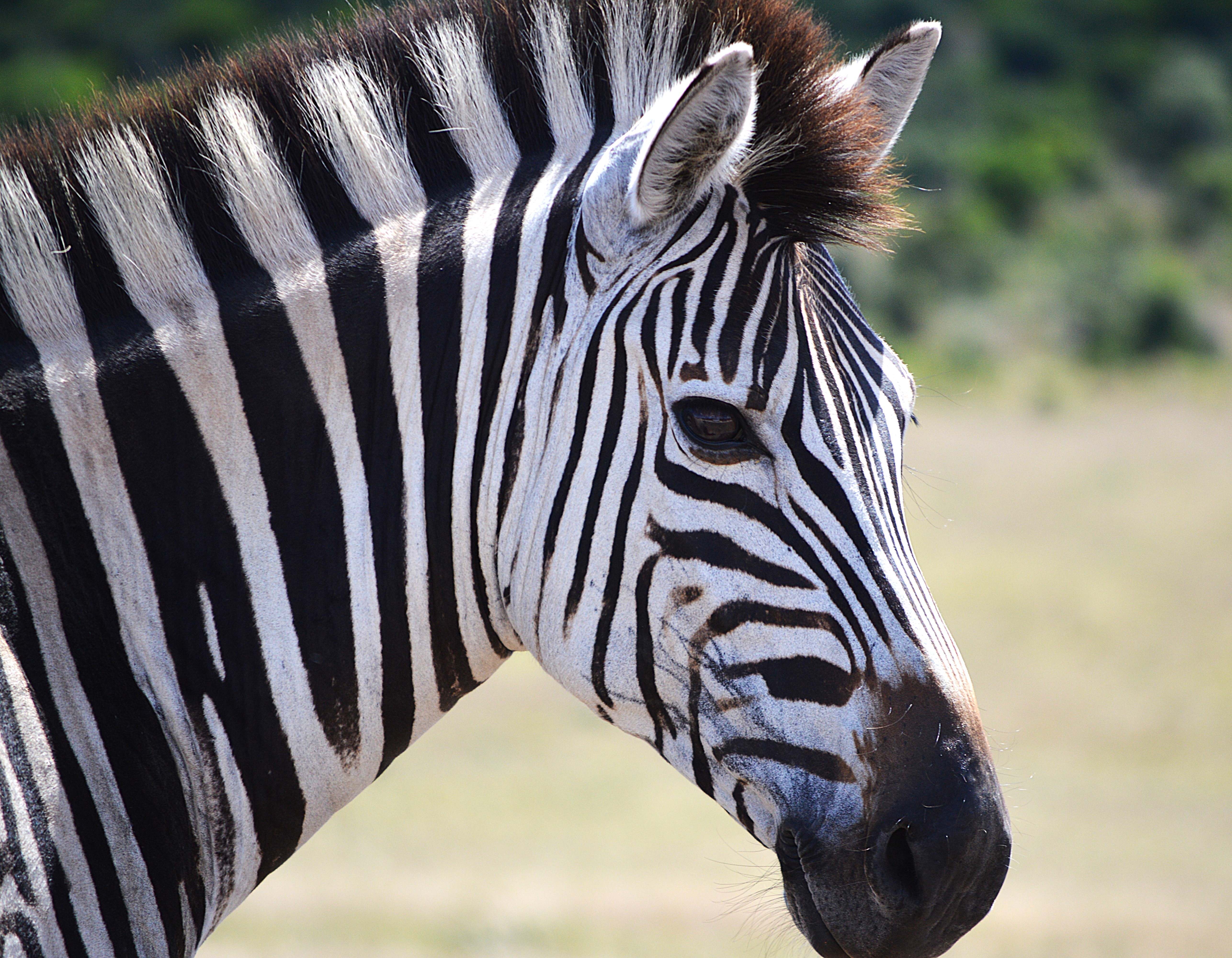 KAZA Safari Lodge Finder | Interactive Accommodation & Camp Map